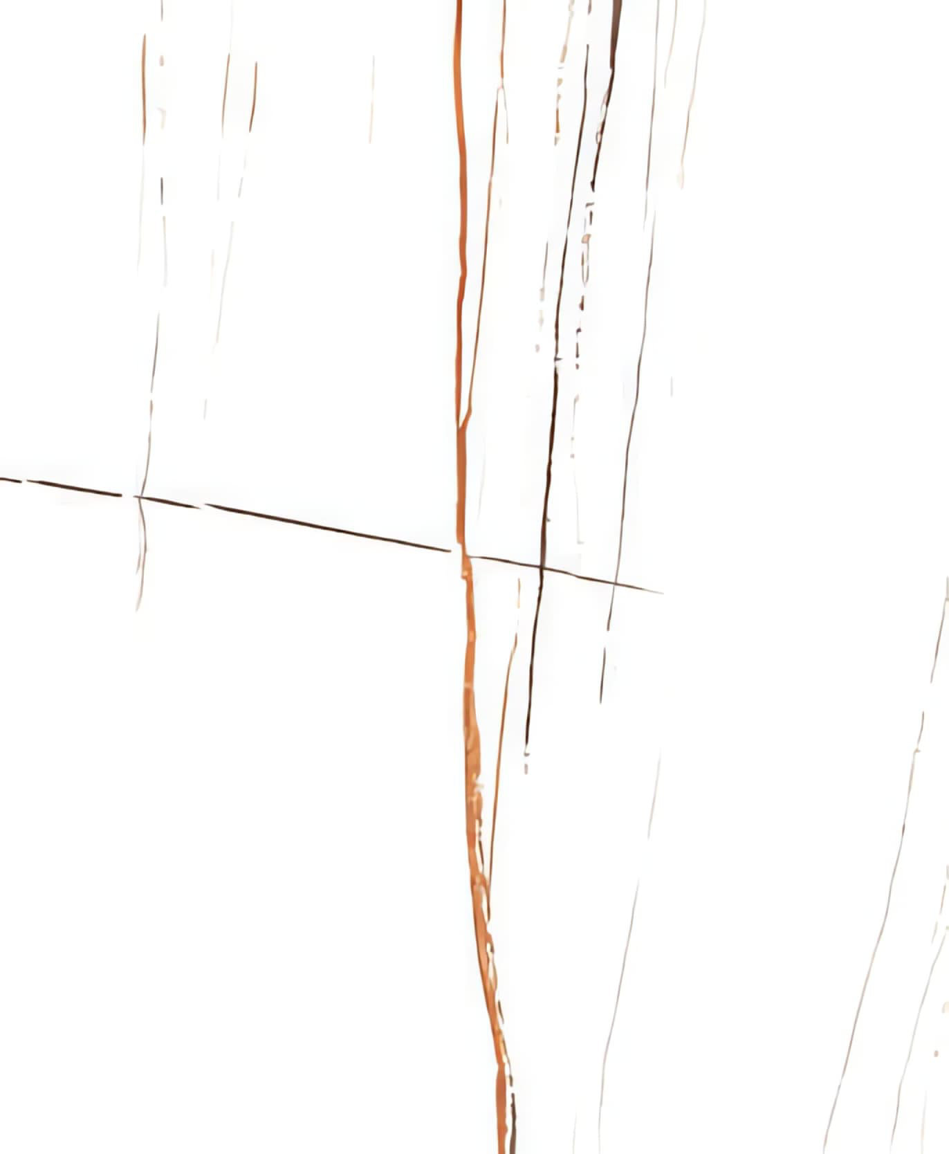 APPTILE Jack Lewis White Polished | Wayfair