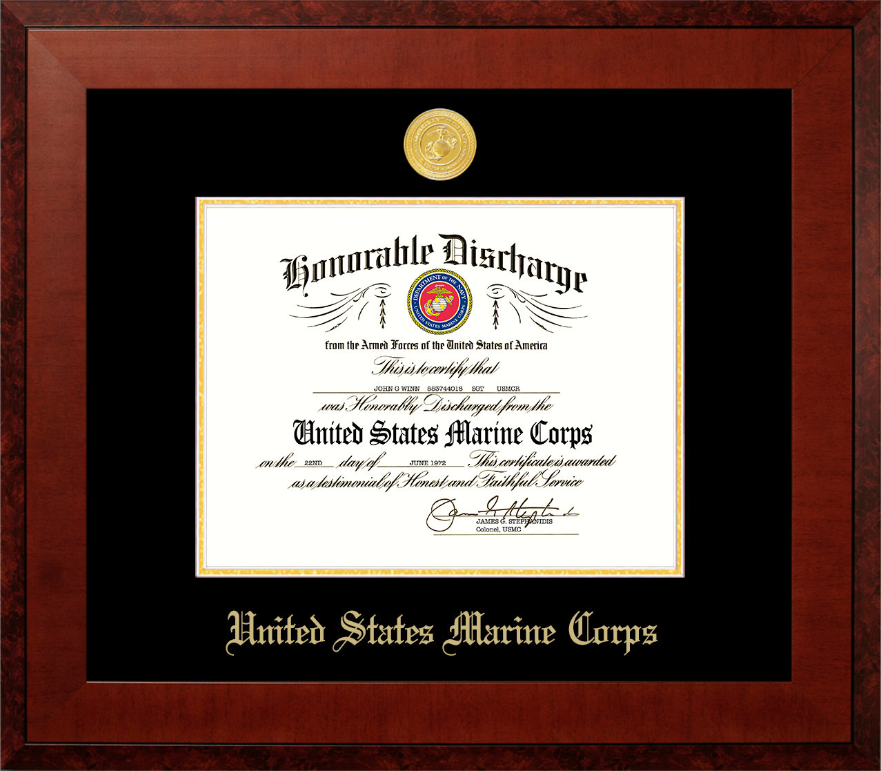 Patriot Frames Marine Discharge Honor Picture Frame | Wayfair