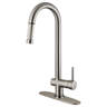 LessCare Pull Out Single Handle Kitchen Faucet & Reviews | Wayfair
