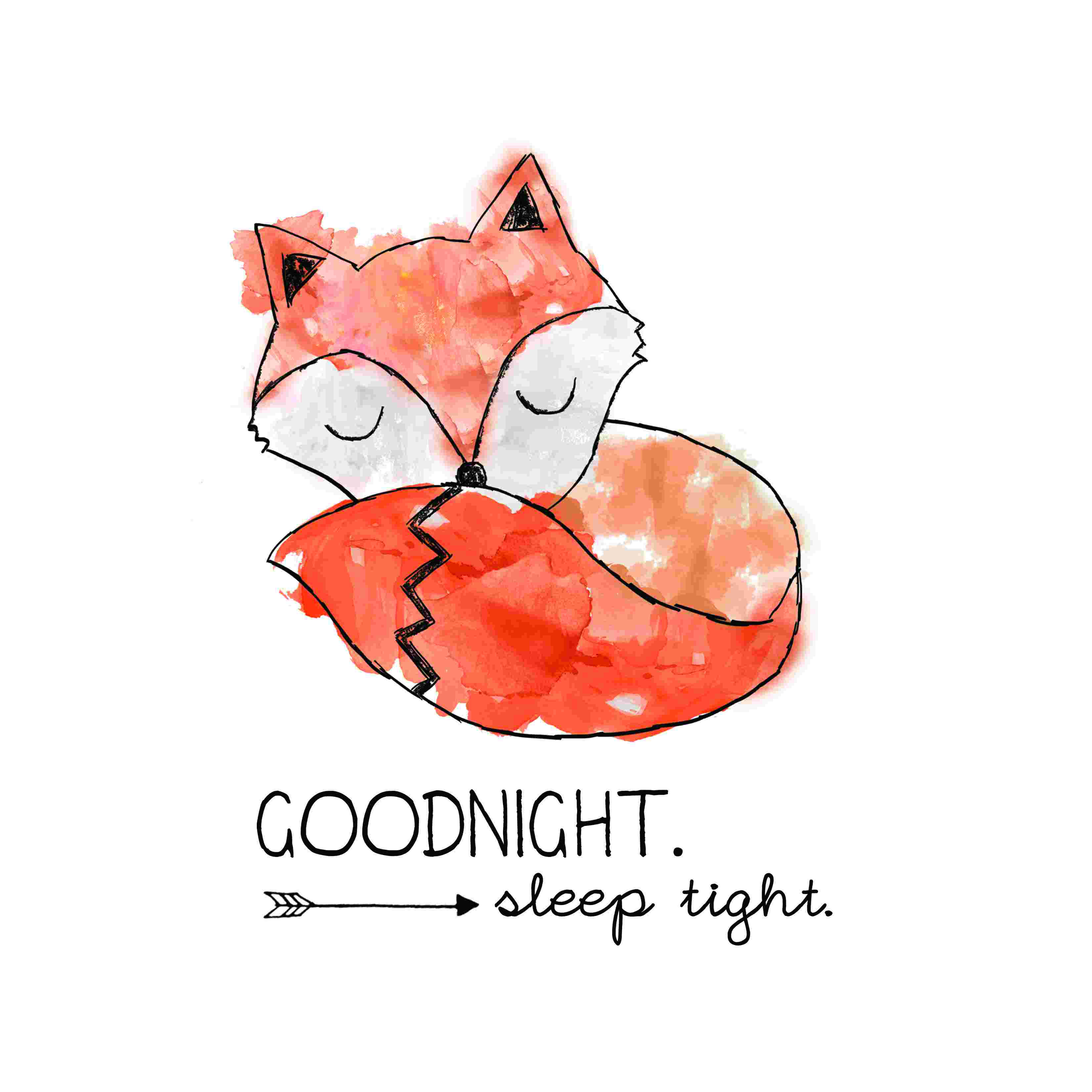 August Grove® Fox Goodnight - Wrapped Canvas Textual Art | Wayfair