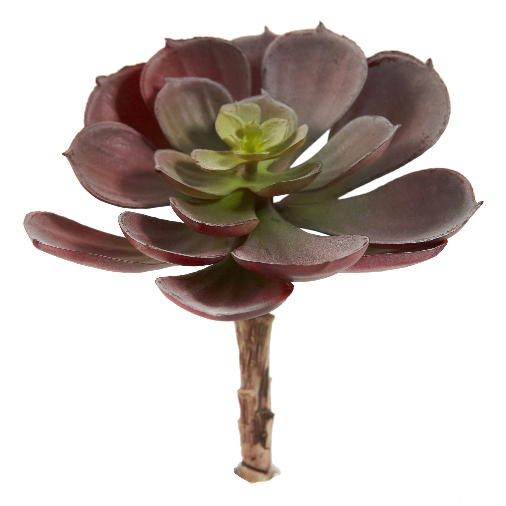 Primrue Echeveria 12 - Piece Artificial Succulent Plant Set & Reviews ...