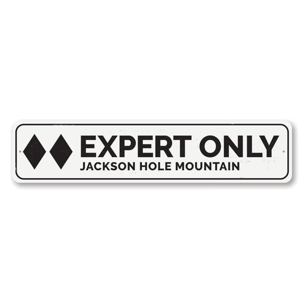 Lizton Sign Shop, Inc Double Black Diamond Ski Aluminum Sign | Wayfair