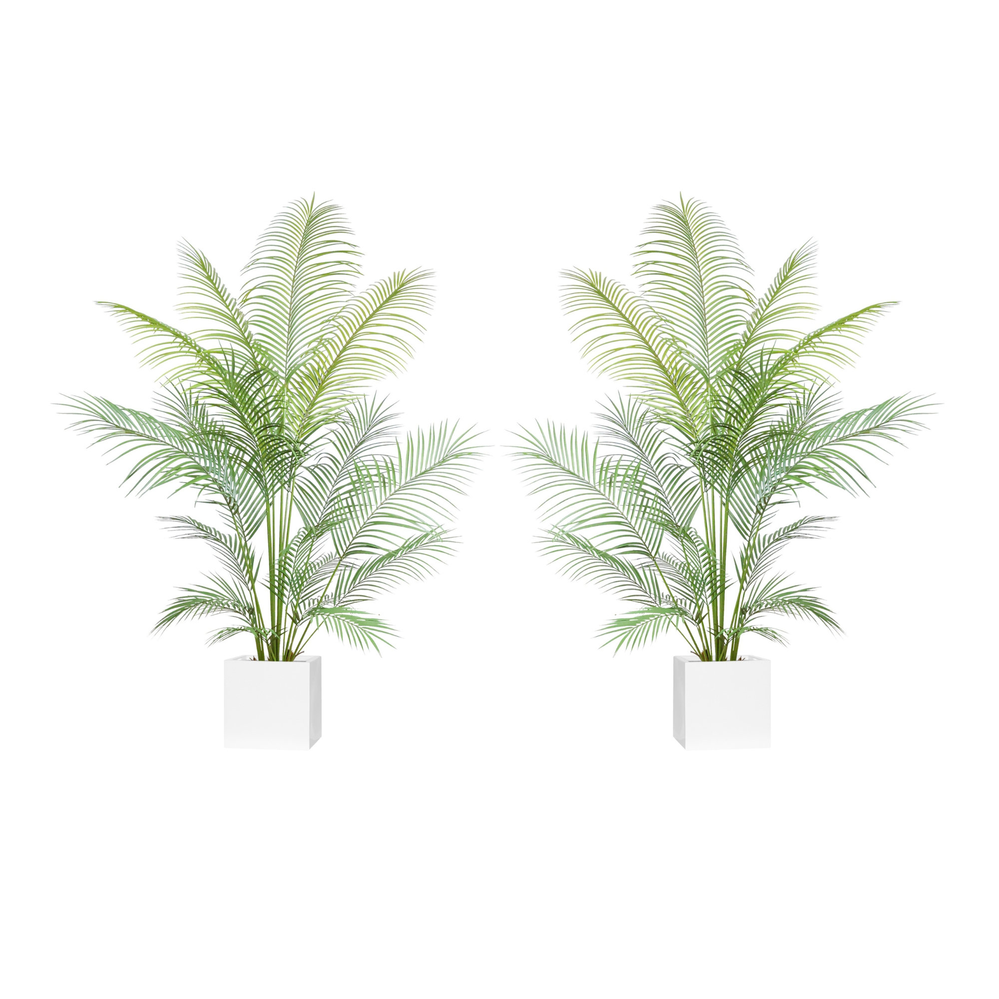 Creative Displays, Inc. 5.5' Outdoor UV Rated Kentia Palm Drop-In Trees ...