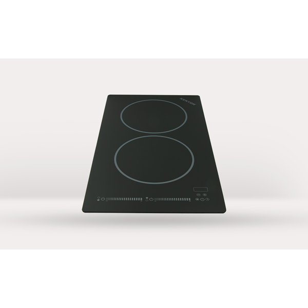 Kenyon Bridge 21" Induction Cooktop with 2 Elements | Wayfair