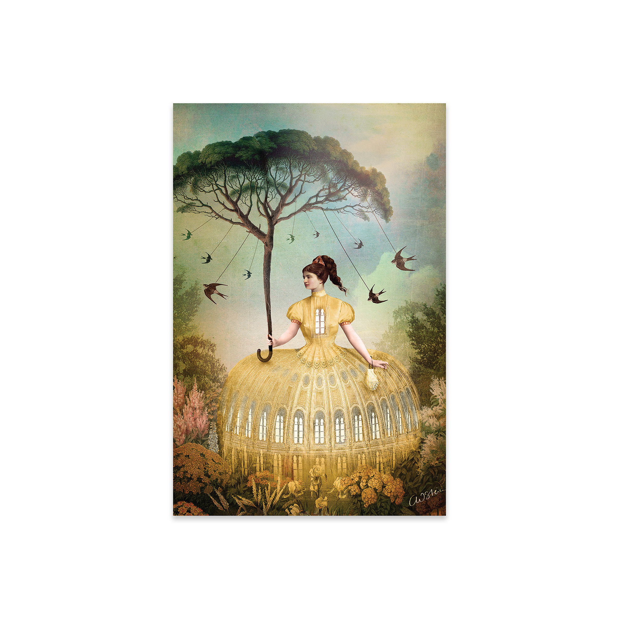 Charlton Home® The Bird Keeper On Plastic / Acrylic by Catrin Welz ...