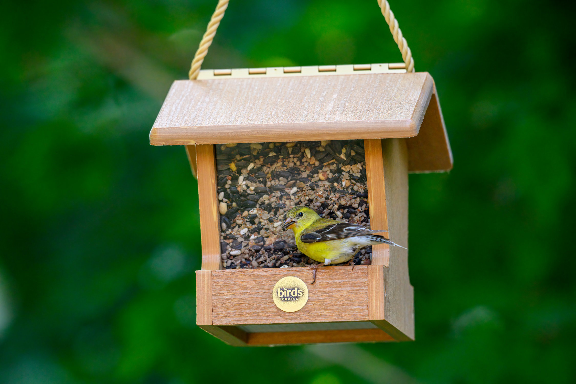 Birds Choice Modern Farmhouse Small Hopper Feeder in Natural Teak | Wayfair