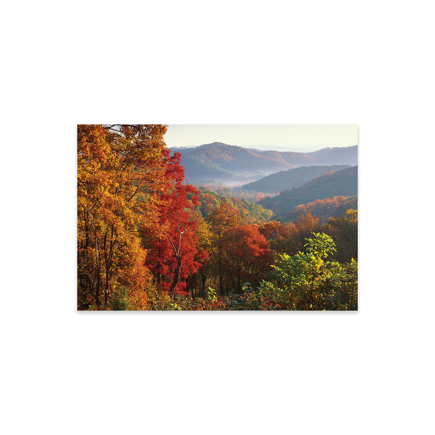 Millwood Pines Autumn Foliage on Blue Ridge Range Near Jumping off Rock ...