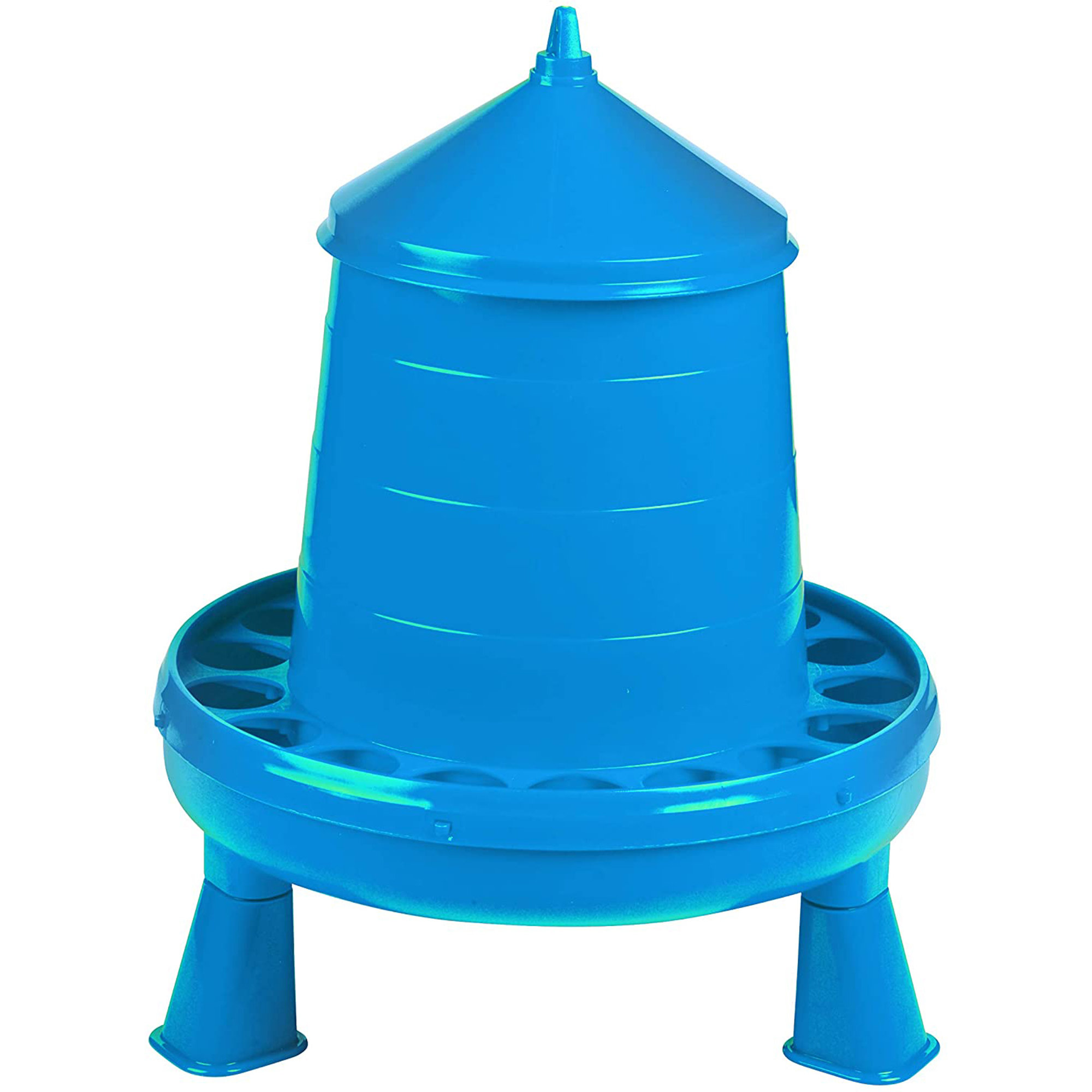 Little Giant Chicken Feeders / Waters | Wayfair