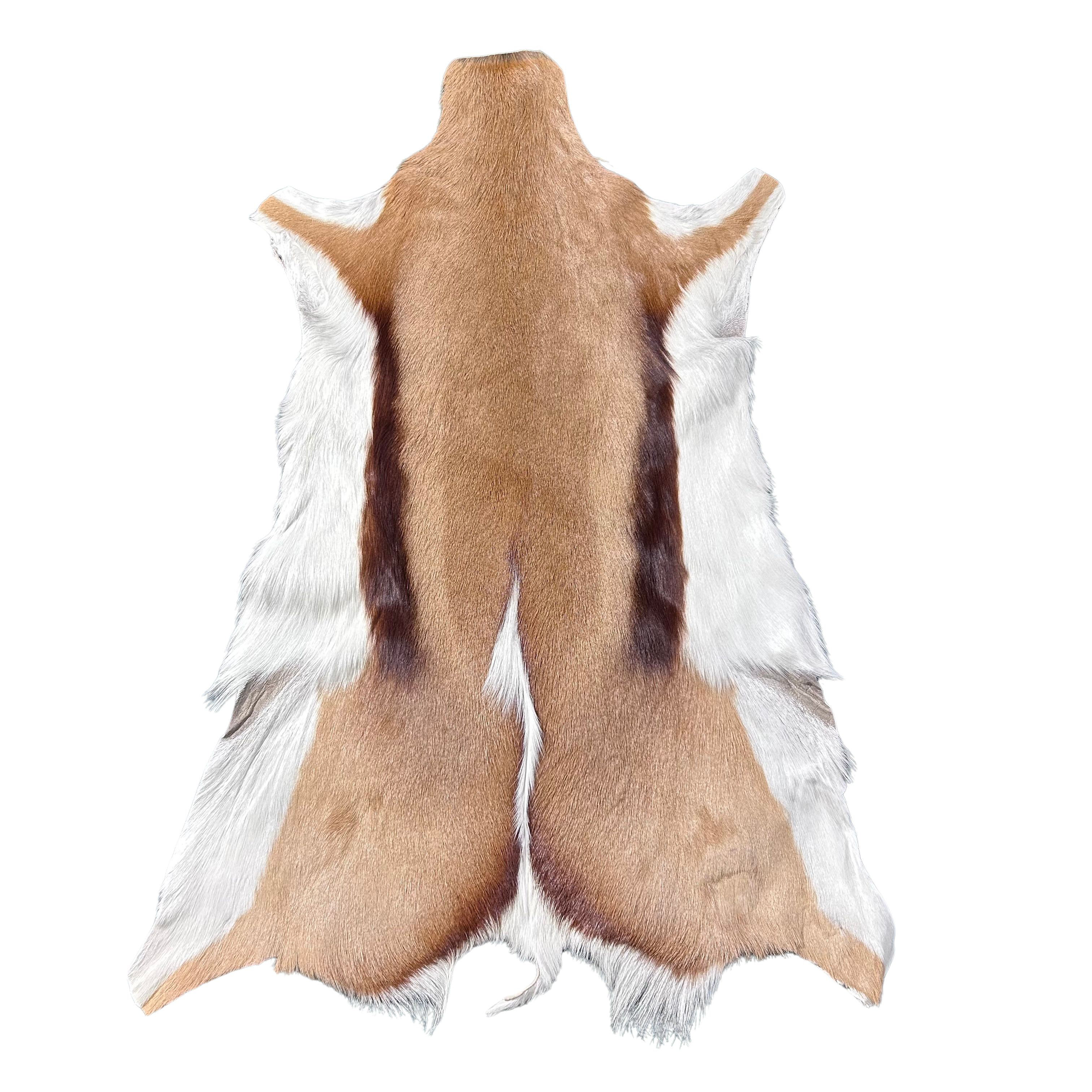 Loon Peak® Natural Springbok Skin | Wayfair