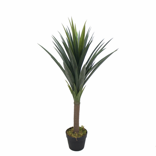 The Seasonal Aisle Faux Yucca Plant in Pot | Wayfair.co.uk