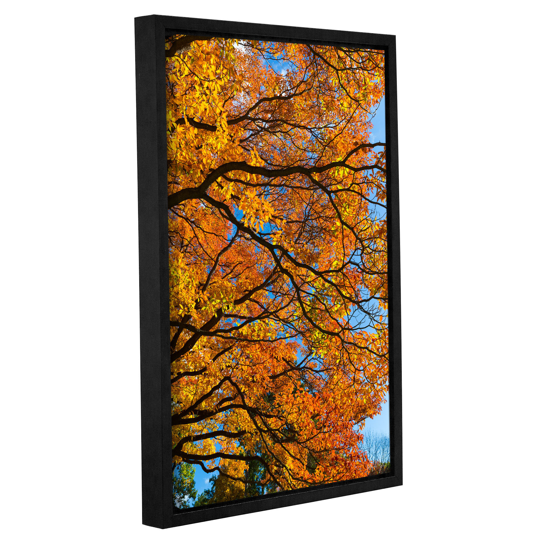 Latitude Run® Orange Fall Tree - Photograph Print on Canvas | Wayfair
