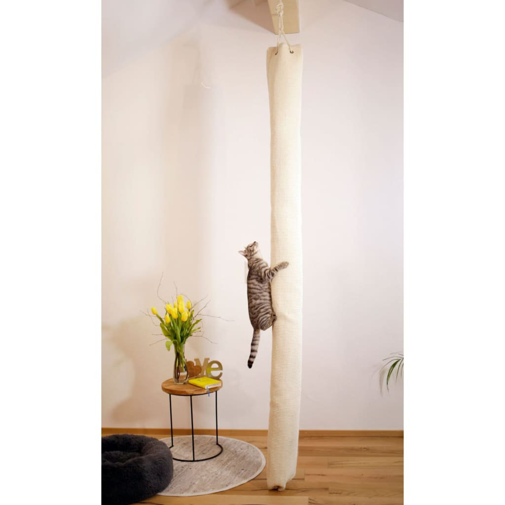 Archie & Oscar Rankin Cat Climbing Bag 240 cm Beige | Wayfair.co.uk