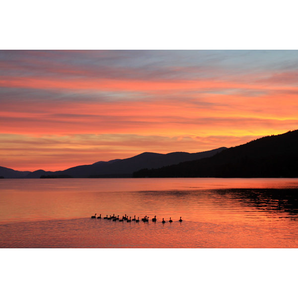 Highland Dunes " Ducks Takes Morning Swiw " by Ricksause | Wayfair