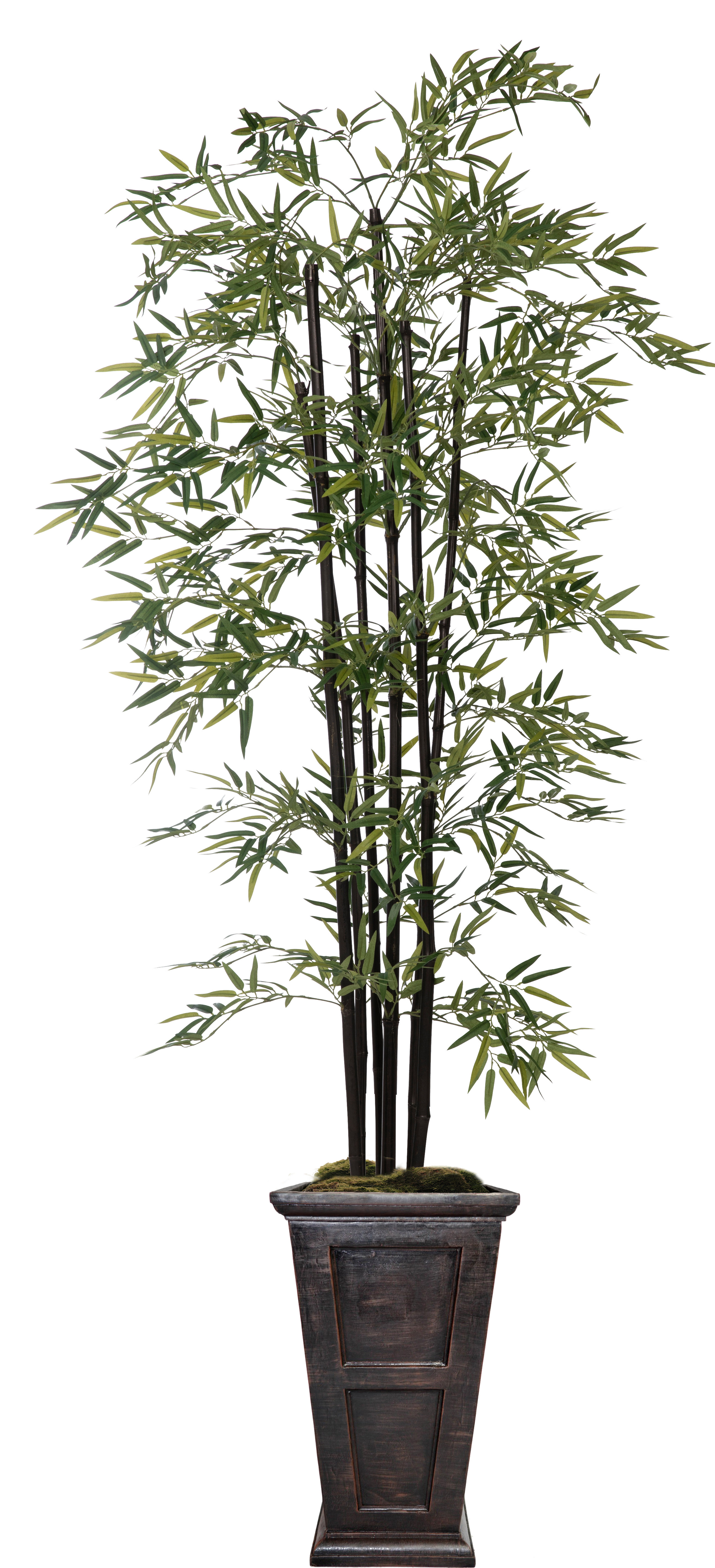 Vintage Home Panama Aaru Decorative Poles Bamboo Tree in Planter ...