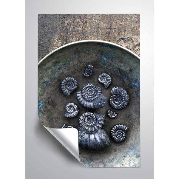 World Menagerie Fossil and Patina Removable Wall Decal - Wayfair Canada