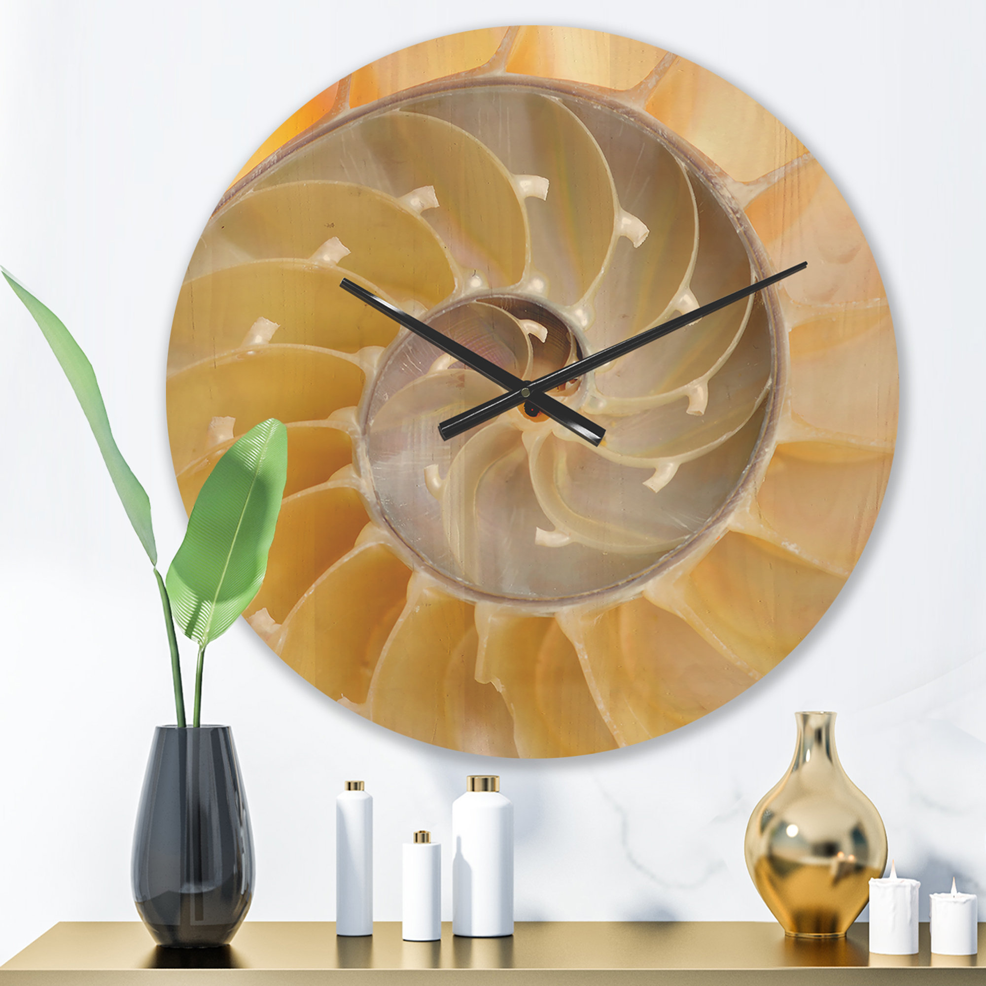 East Urban Home Isolated Nautilus Shell Wall Clock | Wayfair