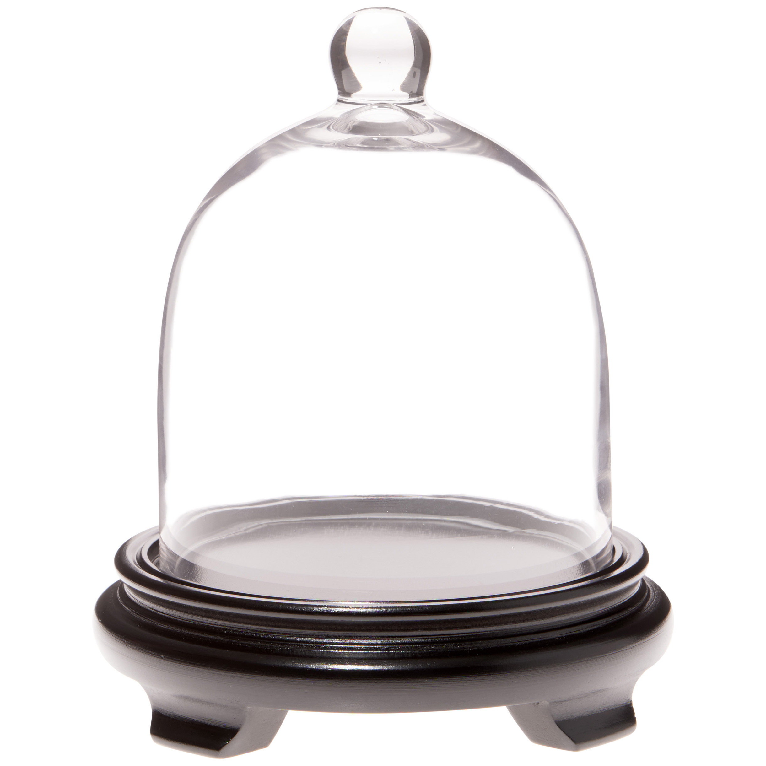 Red Barrel Studio® 6" x 7" Bell Jar Glass Display Dome Cloche | Wayfair