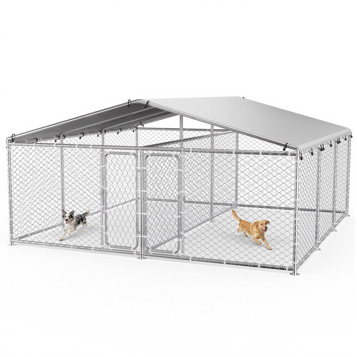 Tucker Murphy Pet™ Time Ray 15x15 Ft Dog Kennel Outdoor For 2 Dogs ...