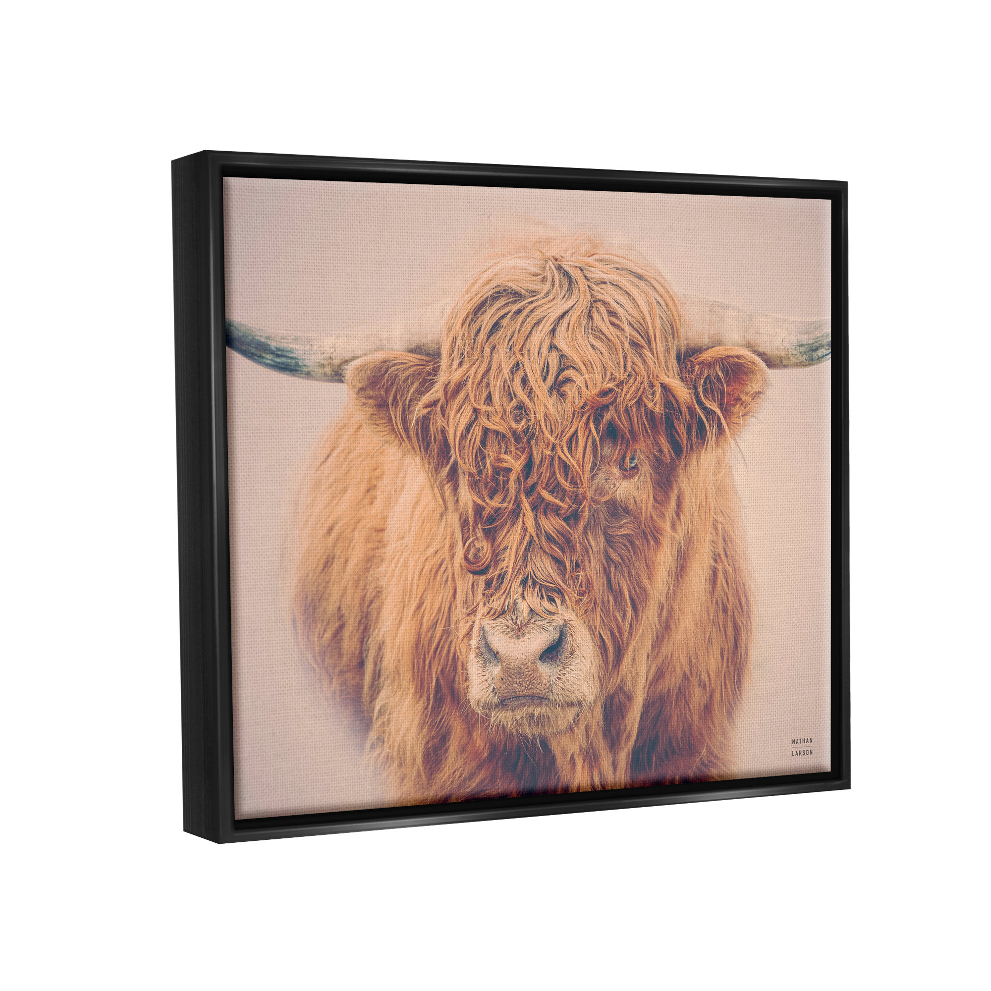 Union Rustic Highland In Winter Fog Brown Cow by Nathan Larson ...