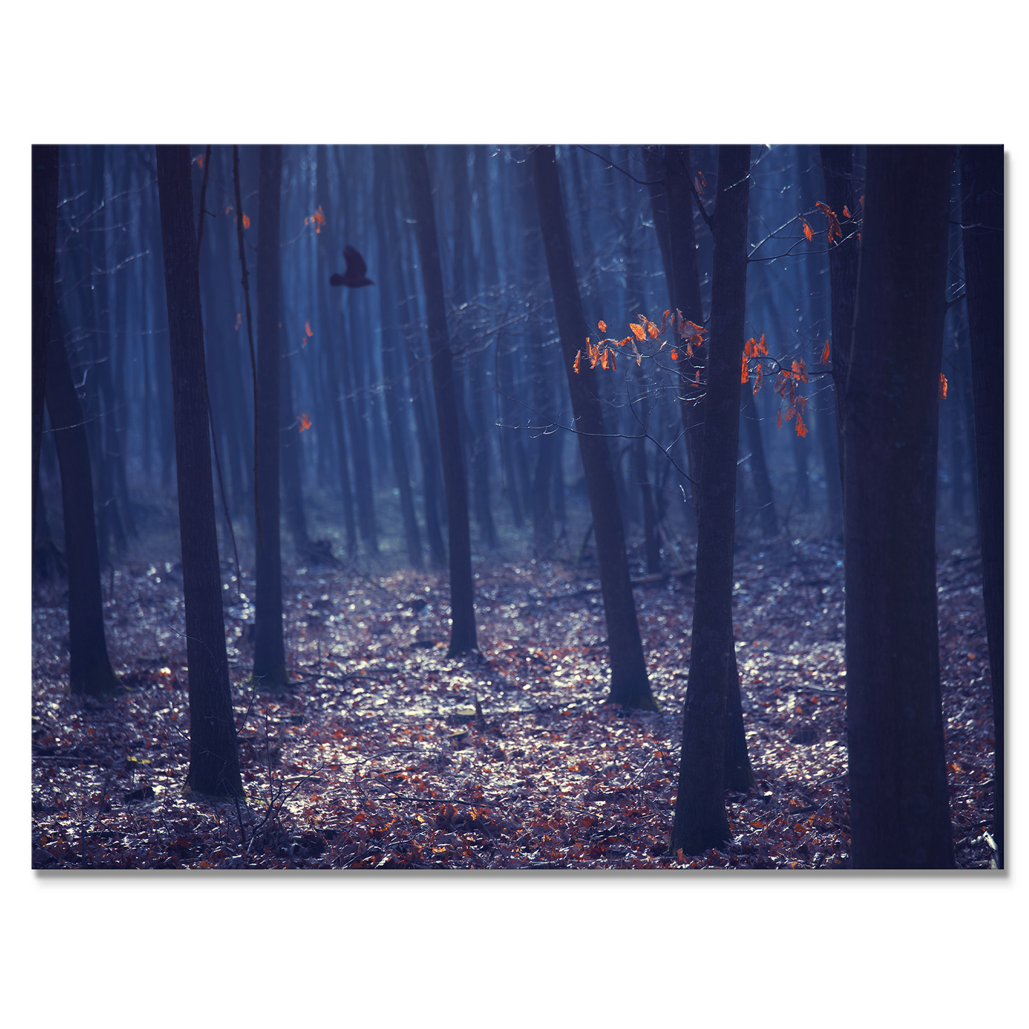 Millwood Pines Blue Mystic Birtch Forest - Floater Frame Print on ...