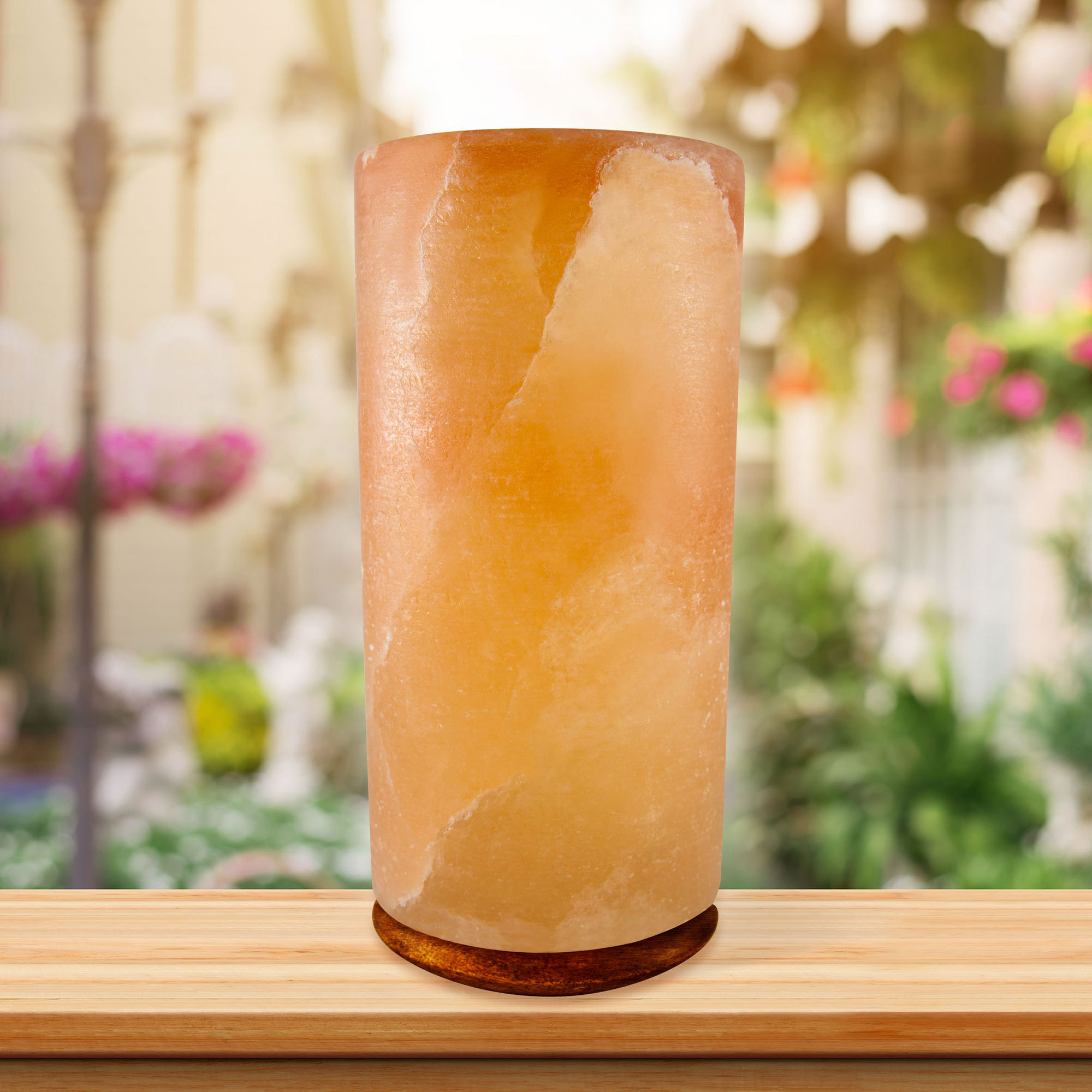 Bloomsbury Market Pasternak Salt Lamp | Wayfair