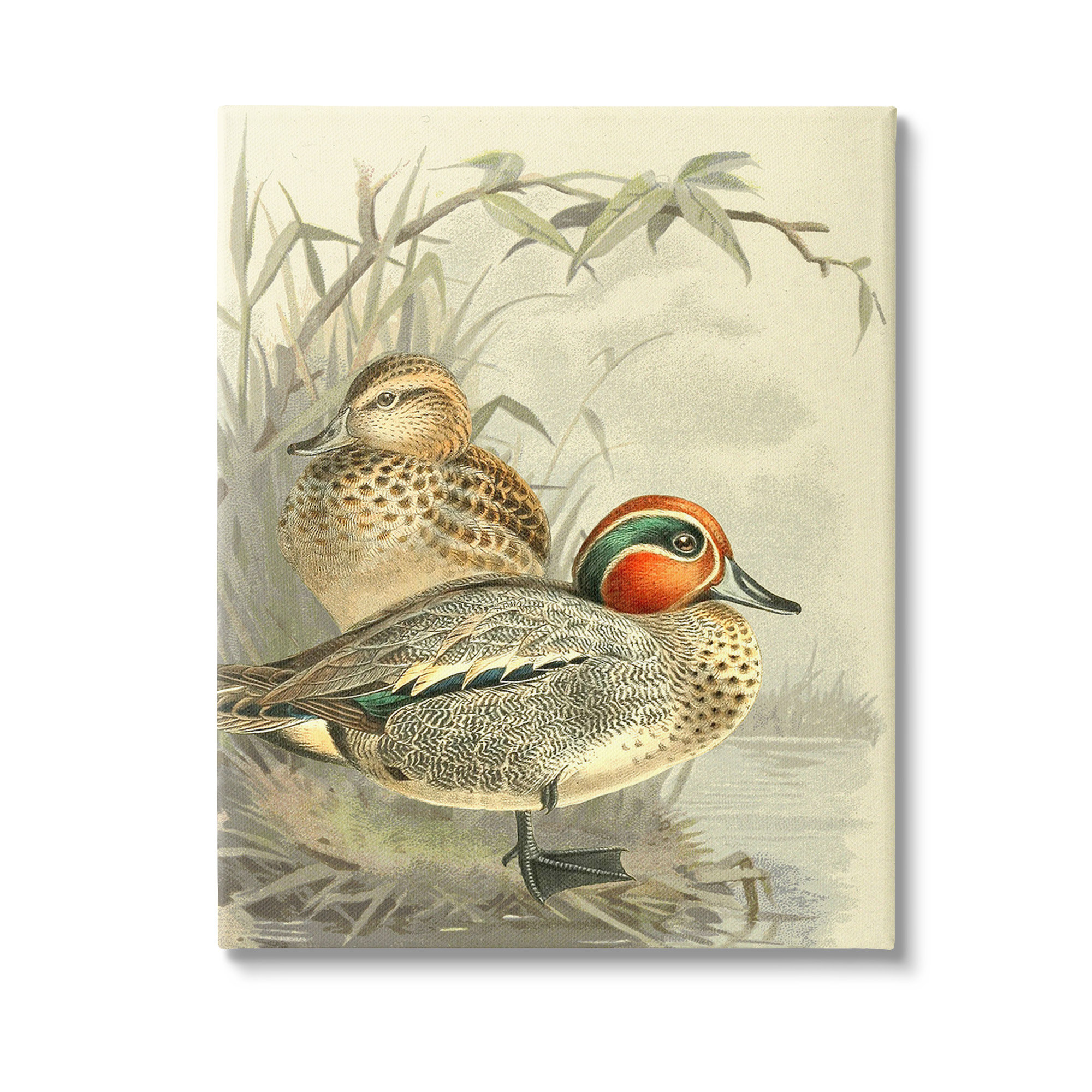 August Grove® " Ducks With Pond Botanicals Wrapped Canvas " by Gail ...