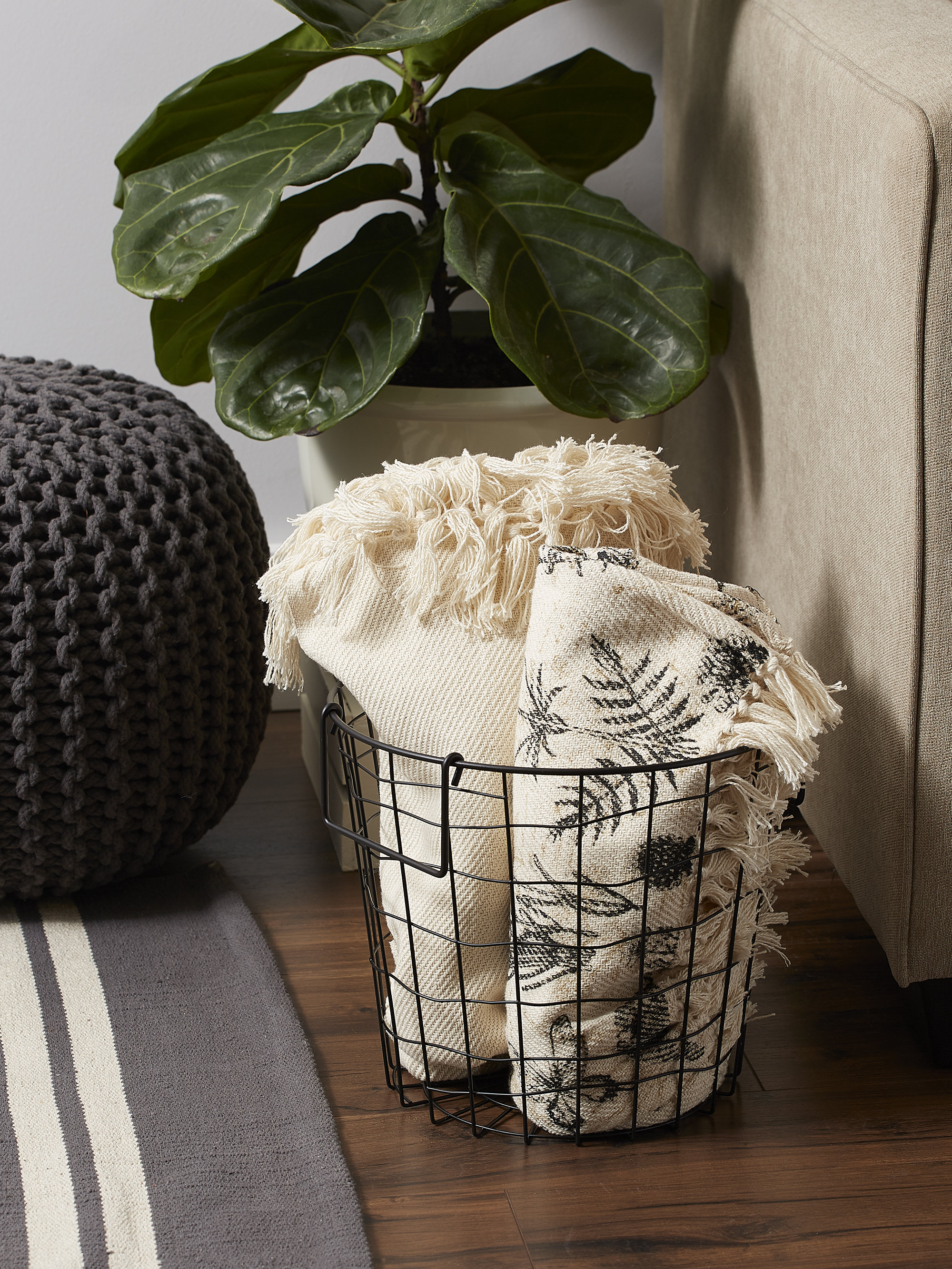 Rebrilliant Ohagan Metal General Basket & Reviews | Wayfair