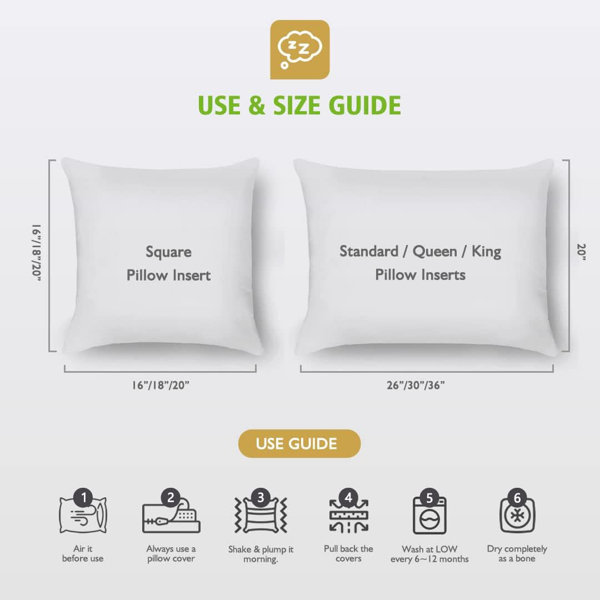 ValenciaLuxe 100% Cotton Feather Down Reversible Euro Square Pillow Set ...