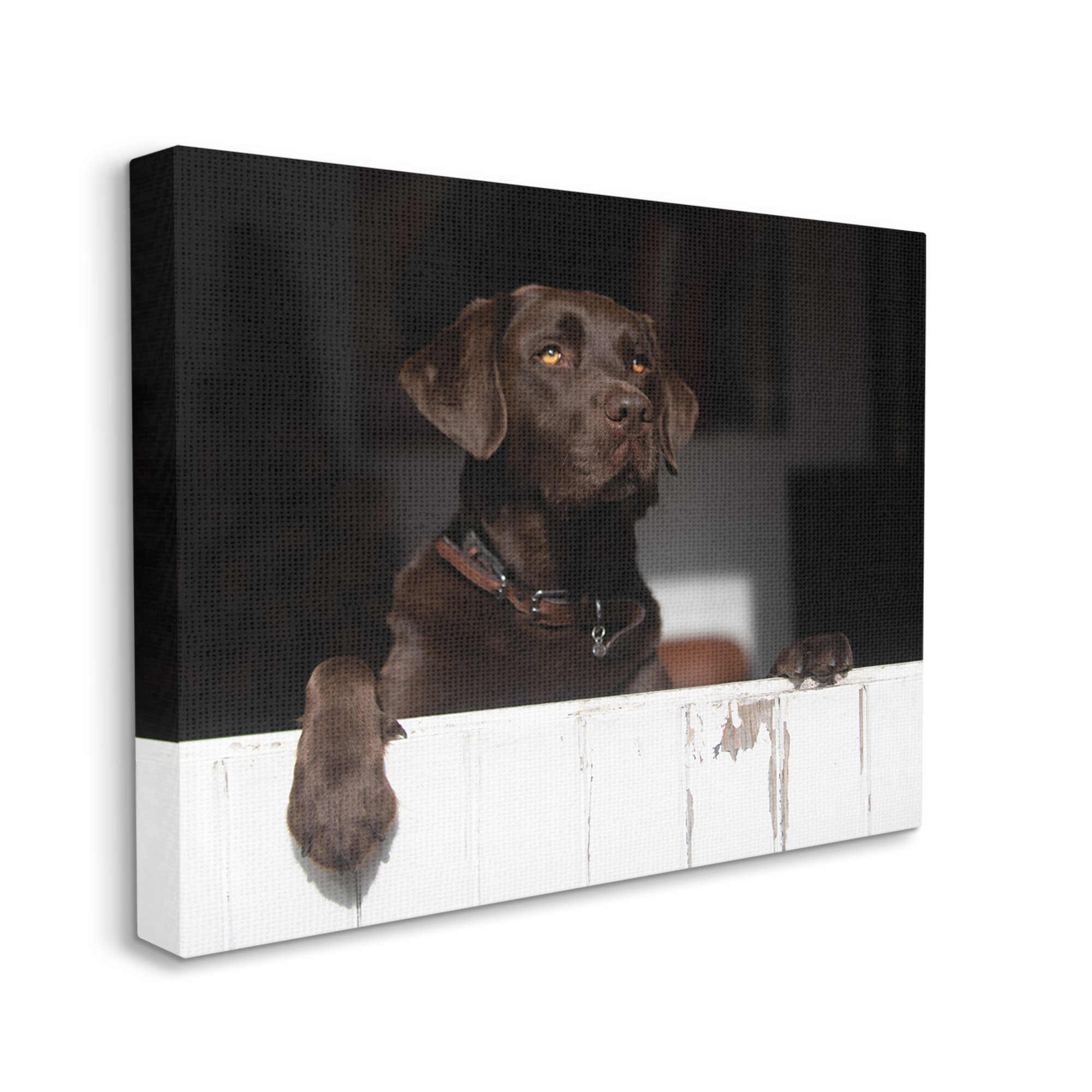 Stupell Industries Labrador Dog Overlooking Farm Leaning Barn Door by ...