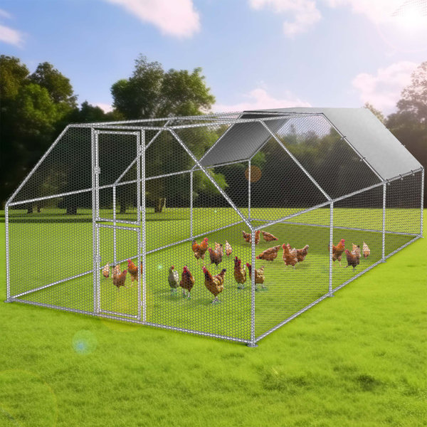 Archie & Oscar™ Keltner Metal Chicken Run Coop Walk-in Poultry Cage ...