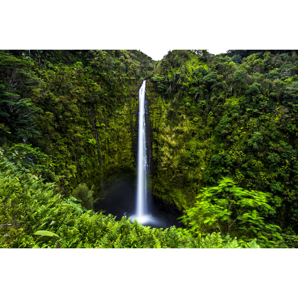 Millwood Pines Akaka Falls On Canvas by Janice Wei Print - Wayfair Canada