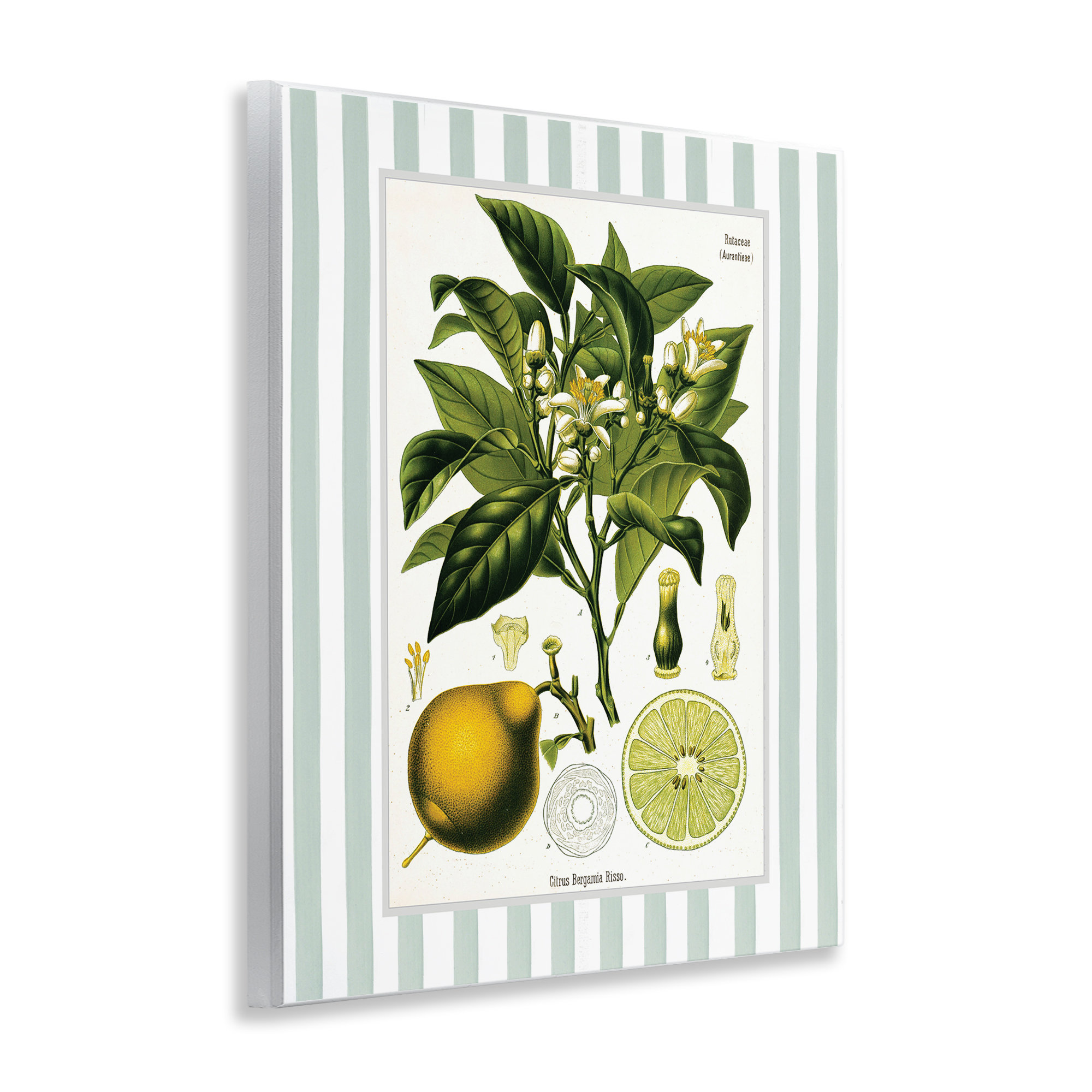 Ophelia & Co. Lemon Plant Green Stripes Wall Plaque, design by Lettered ...