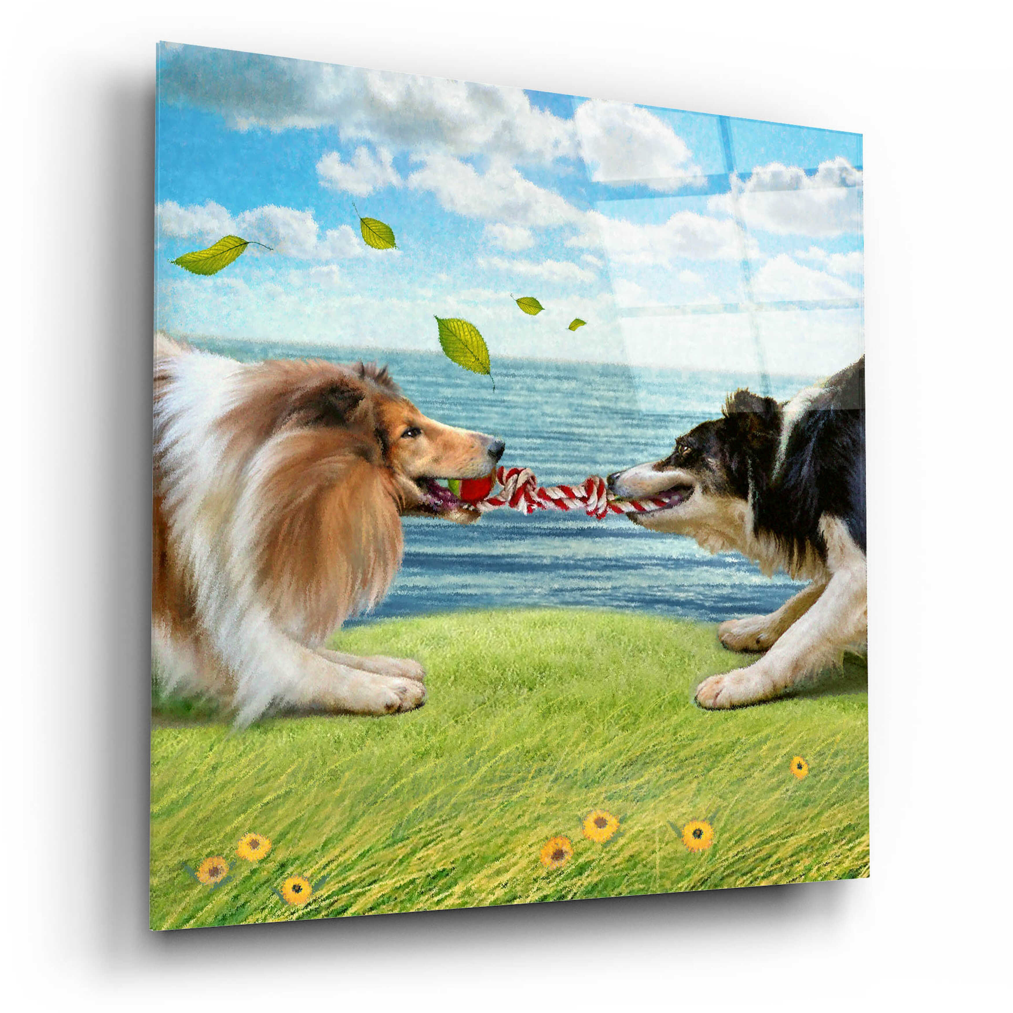 Dovecove 'Five Of Air-Collies' By Dan Craig Acrylic Glass Wall Art ...