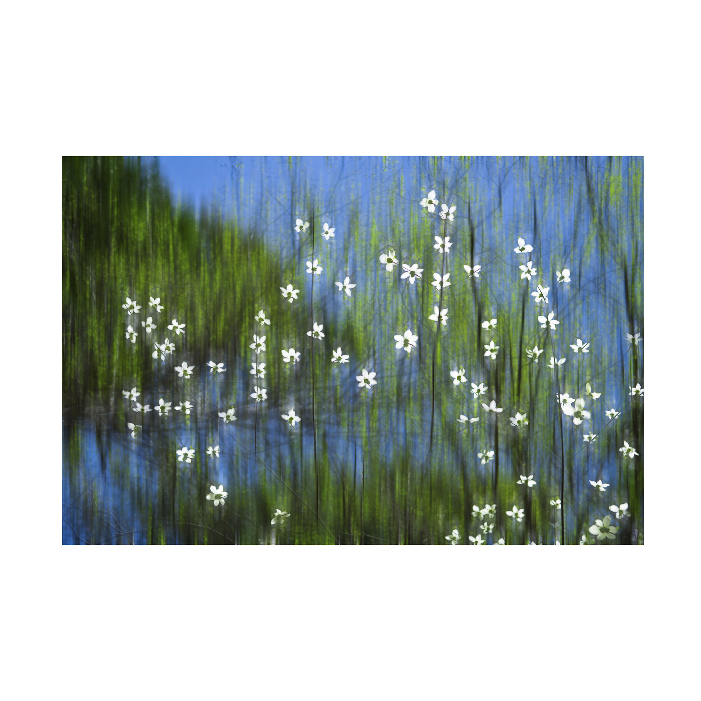 Ebern Designs Wrapped Canvas Wall Art - Jerry Berry 'Summer Hatch' Wall ...