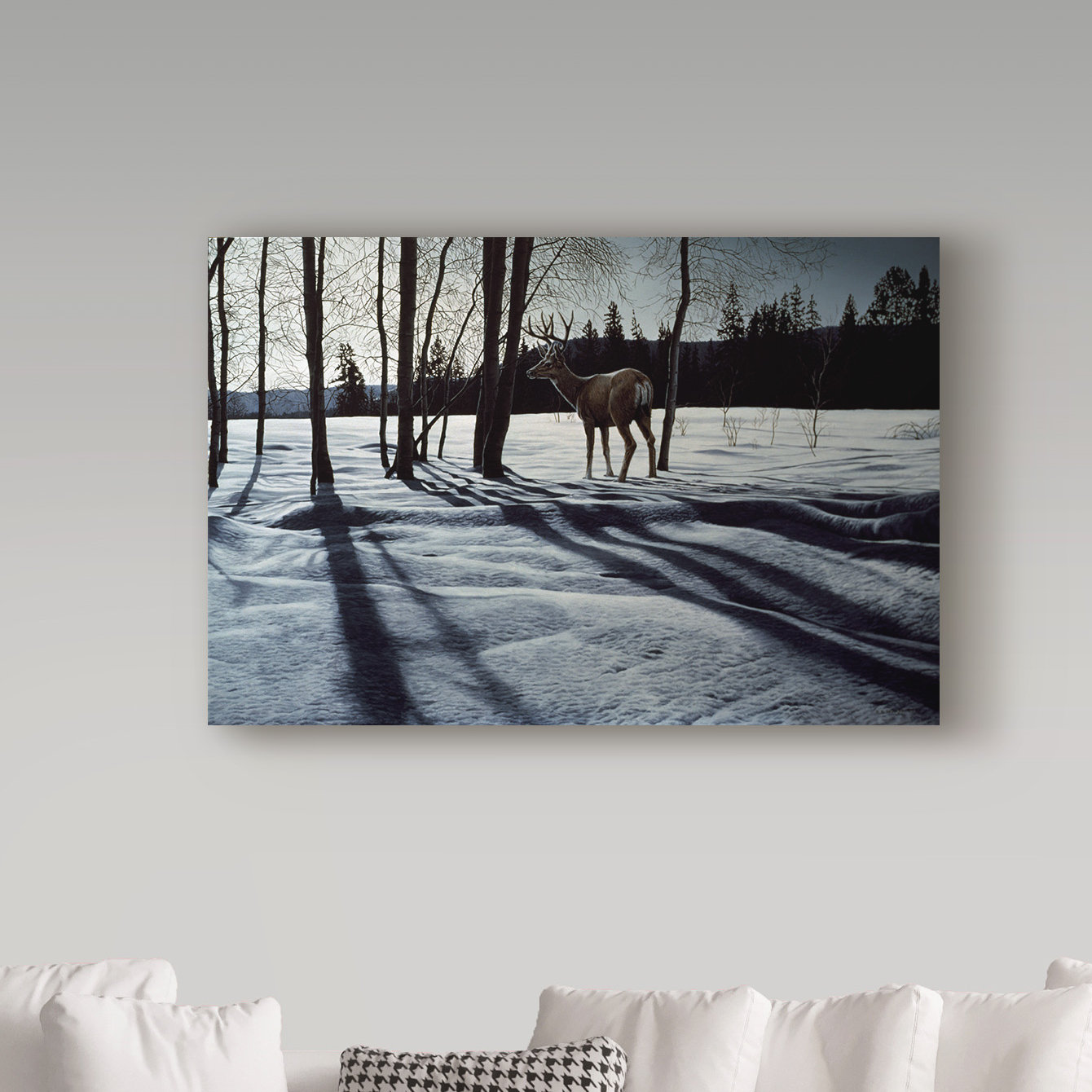 Trademark Fine Art 'Afternoon Shadows Mule Deer' Graphic Art Print on ...