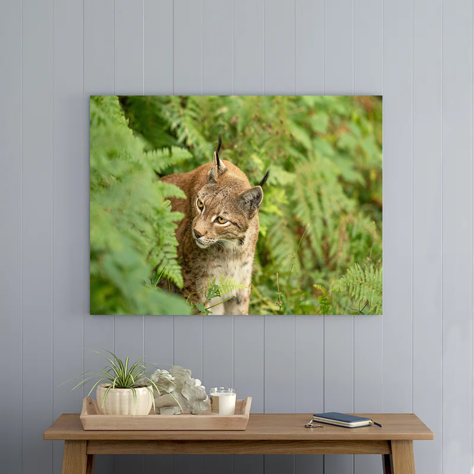 Union Rustic Eurasian Lynx Walking in Green Forest | Wayfair
