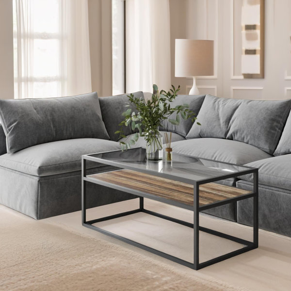 17 Stories Otwald 2 Tier Enclosed Coffee Table with Glass Top Living ...