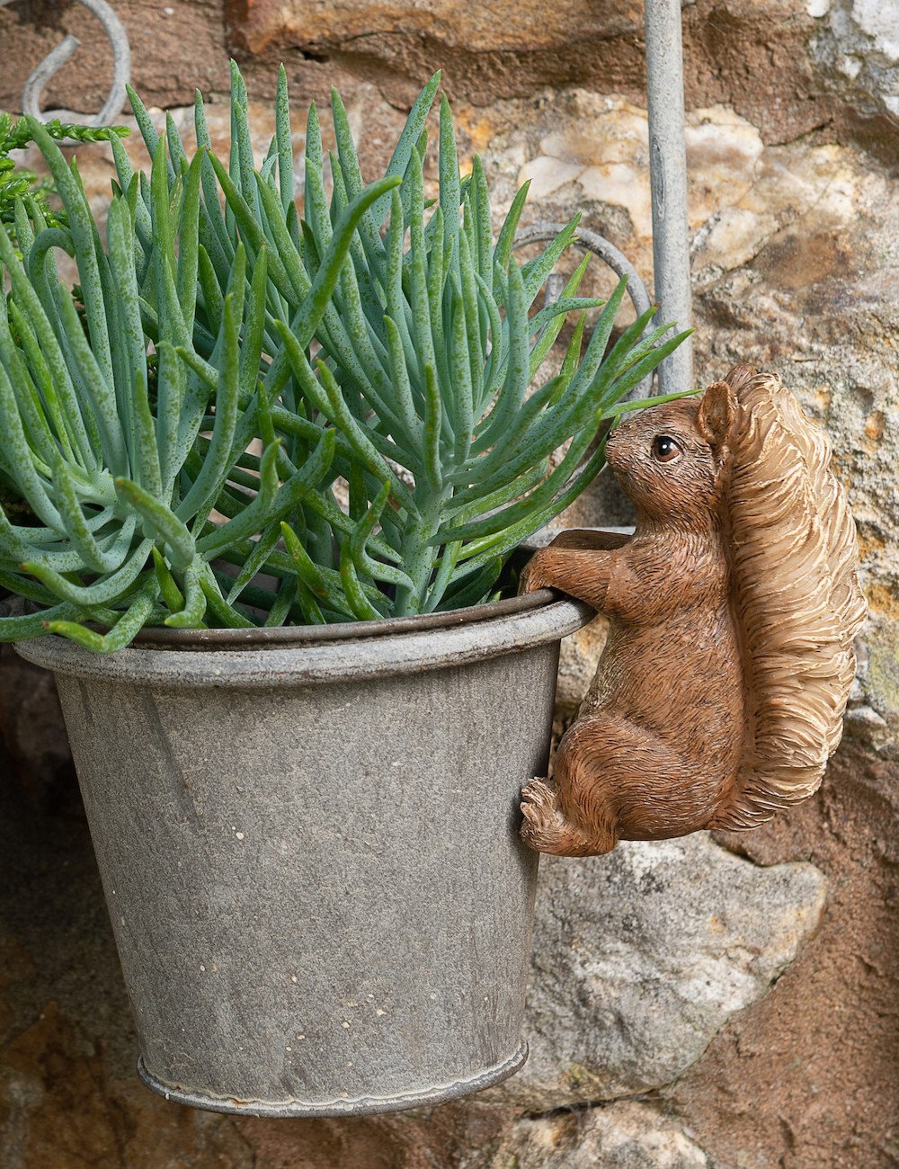 Jardinopia Beatrix Potter Squirrel Nutkin Pot Buddy Pot Hanger In Gift ...