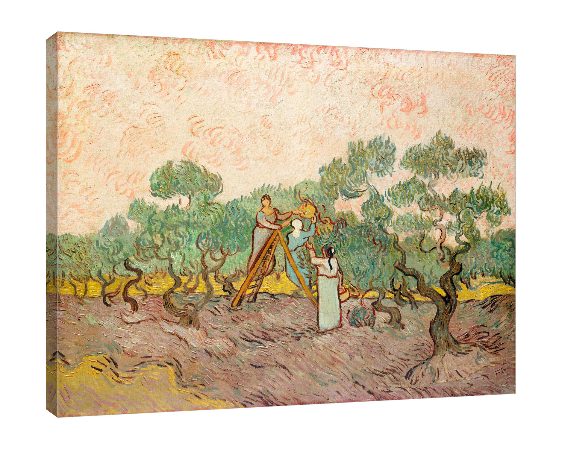 Jaxson Rea Vincent Van Gogh Women Picking Olives by Vincent Van Gogh ...