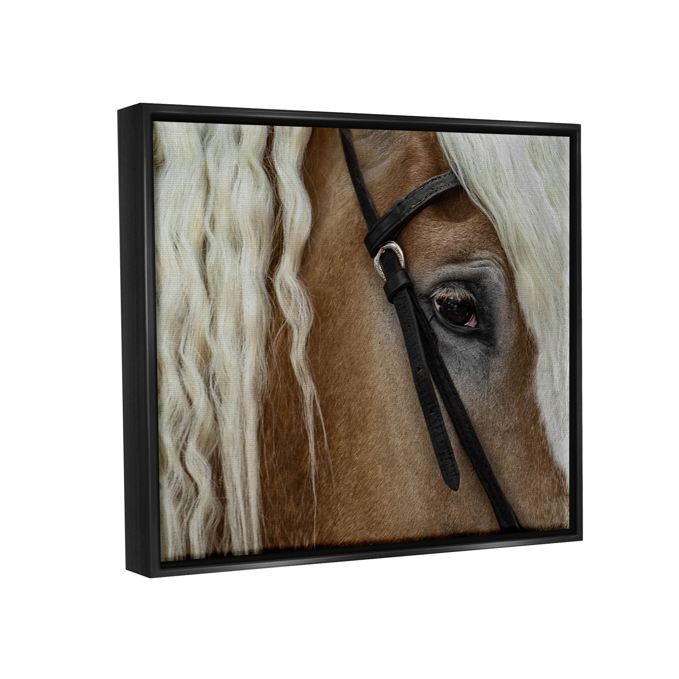 Alcott Hill Blonde Palomino Horse Portrait by David Lorenz - Floater ...