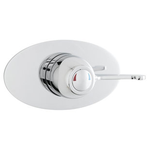 Bristan 22mm Mixing Single Exposed Thermostatic Shower Valve | Wayfair ...