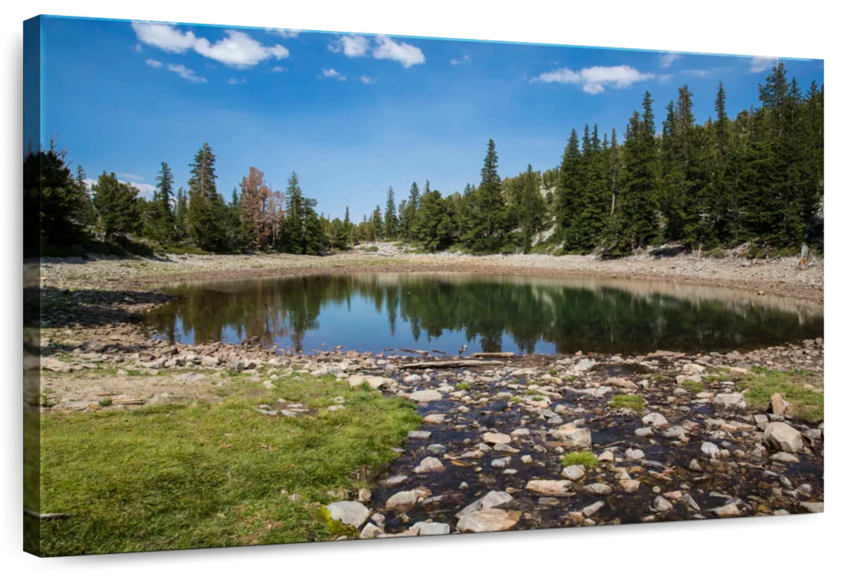 Millwood Pines Great Basin Landscape - Wayfair Canada