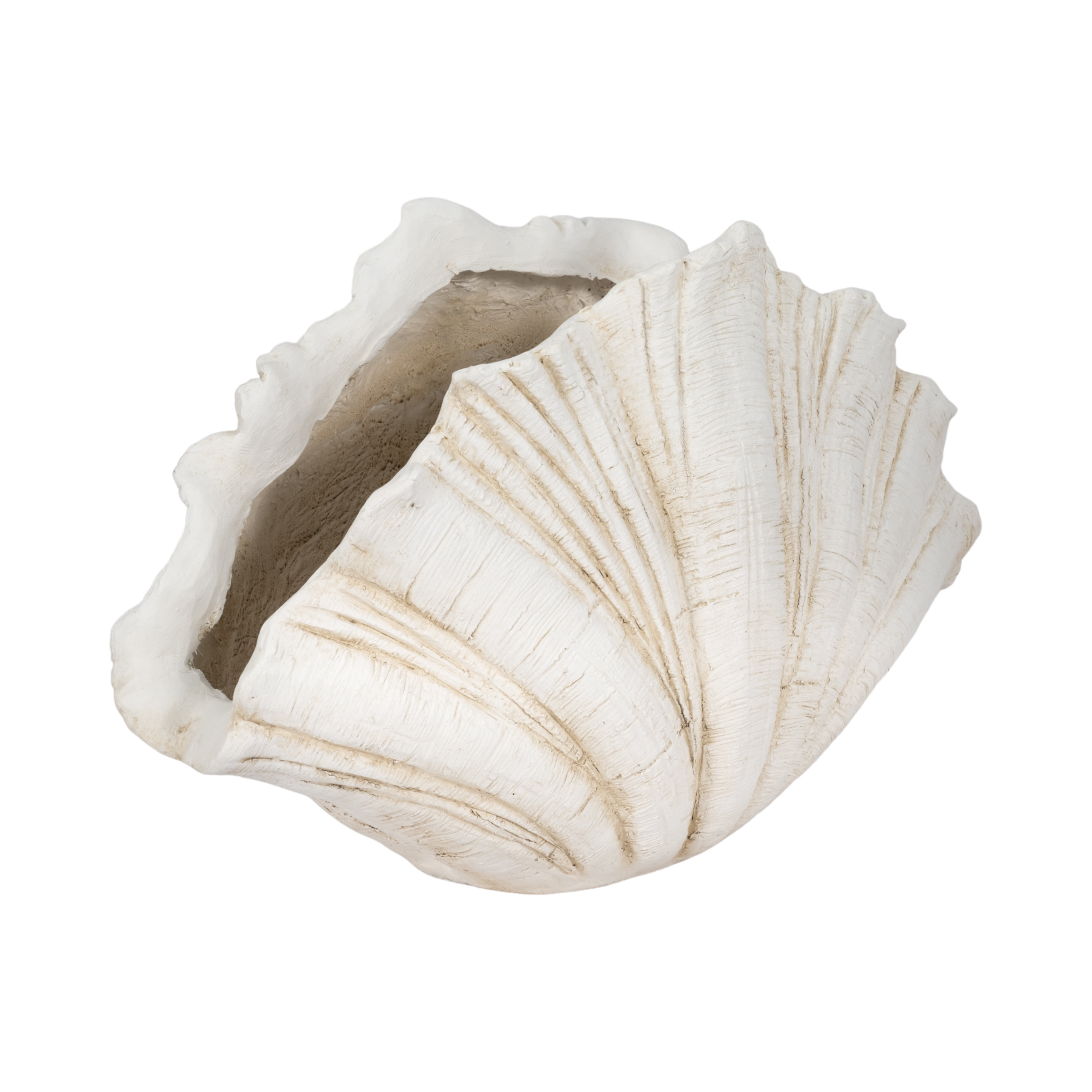Dovecove 22" Polyresin Scallop Shell Decor, White | Wayfair