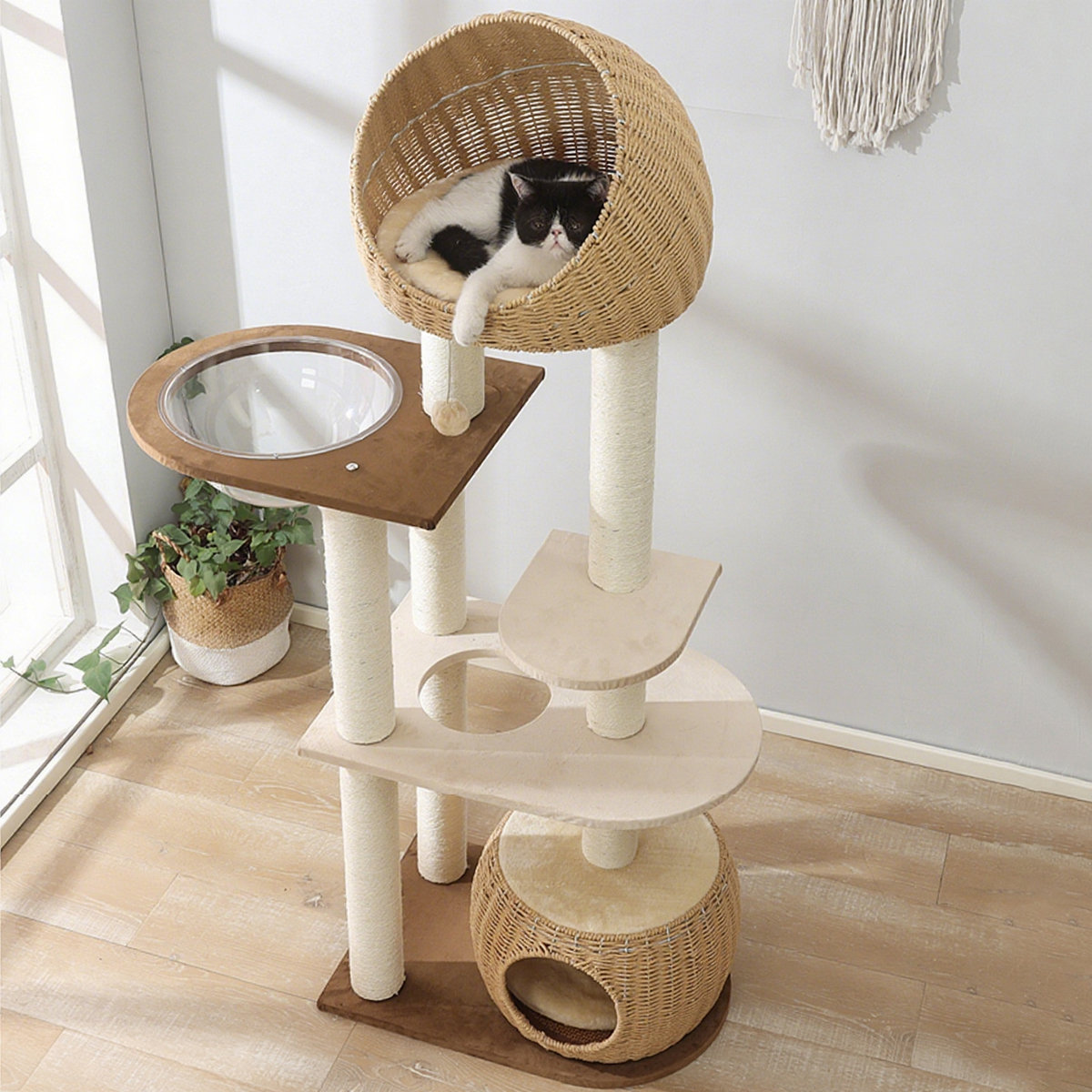 Corrigan Studio 4-Tiers Cat Tree with Cat Condons,Perch,Scratching ...