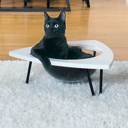 Wayfair | Elevated Cat Beds You'll Love in 2023