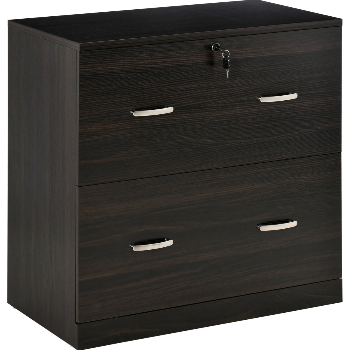 Latitude Run® Home Office File Storage Cabinet, 2 Drawers, Locked ...