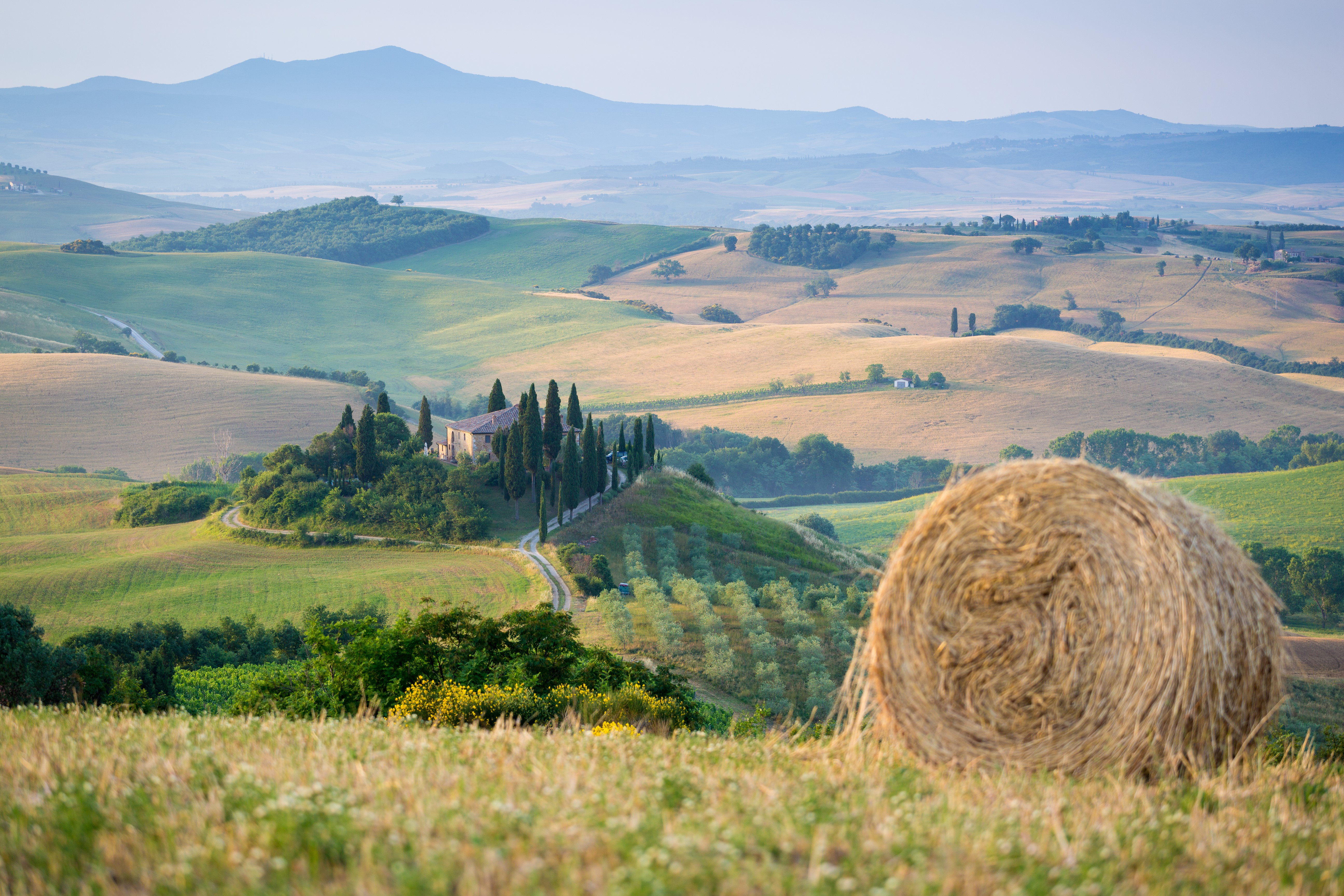 Alpen Home Deese Tuscan Morning - Wrapped Canvas Photograph | Wayfair.ie