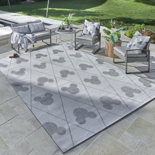 Chevron Outdoor Rugs You'll Love | Wayfair