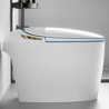 TUOXIN Intelligent One Piece Toilet, Auto Open Seat, Siphonic Flushing ...