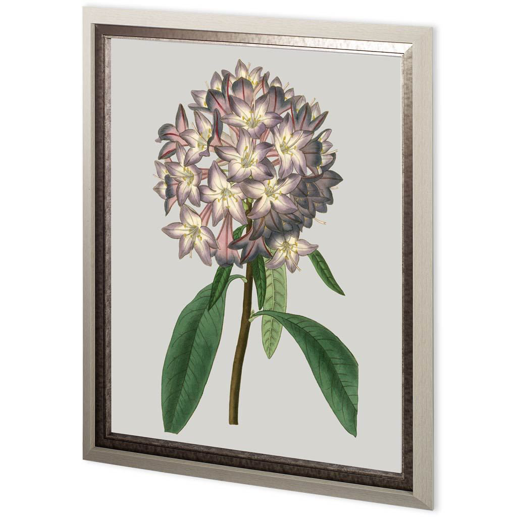 Wildon Home® Custom Floral Gems V Framed On Paper Print | Wayfair